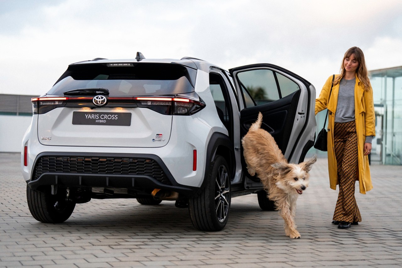 SUVs and Crossover | Toyota - Toyota BIH